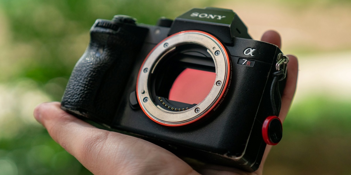 DSLR vs Mirrorless: Which One Should You Rent?