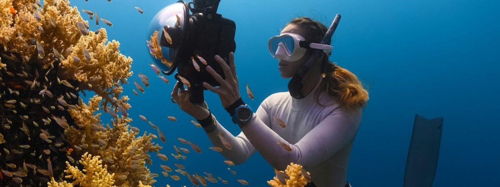 How Photographers Take 50/50 Underwater Photos